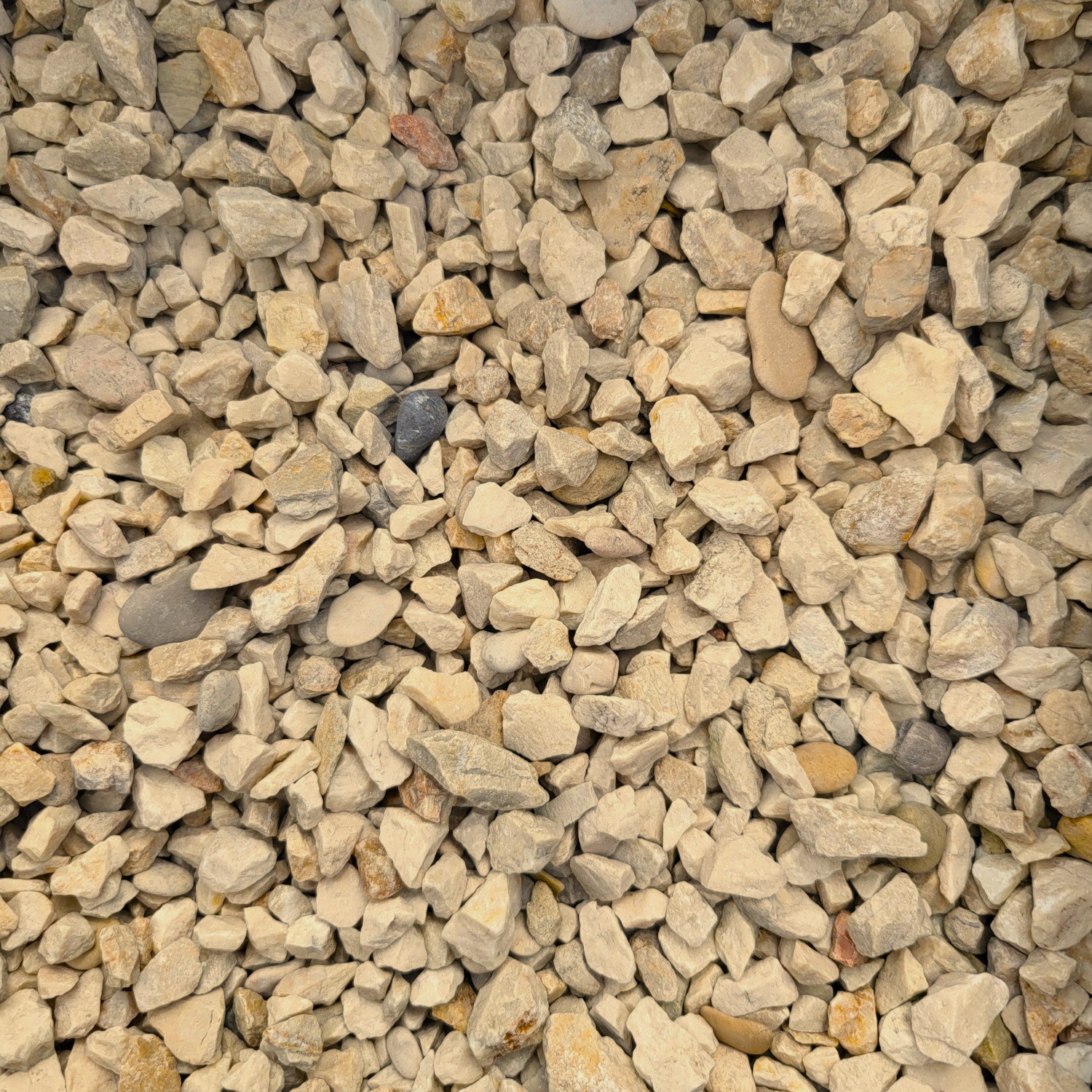 Zak Yellow Sun split 5-11mm 20kg | Snoei